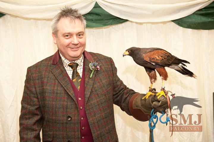 Gallery | Birds Of Prey Experience Days & Displays by SMJ Falconry